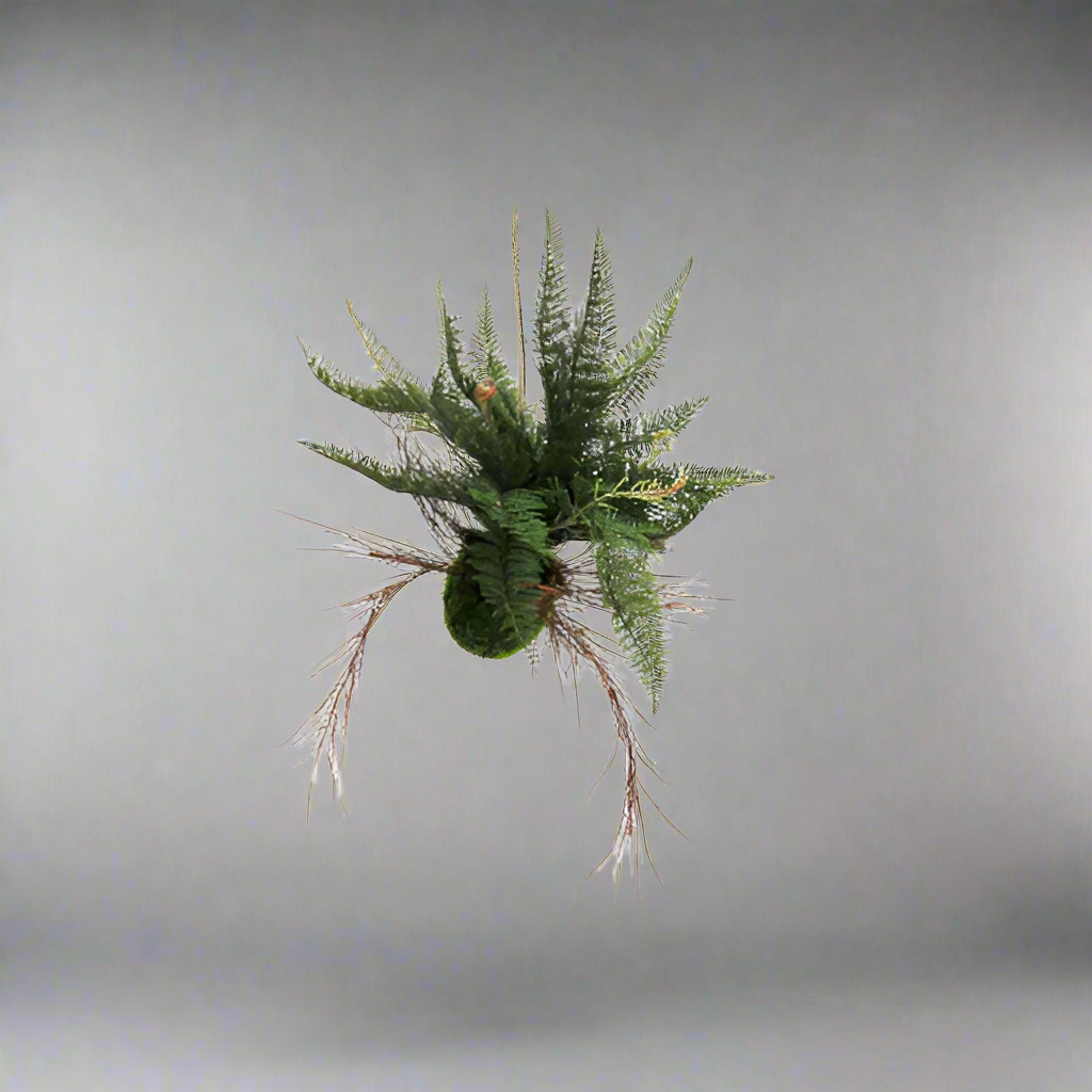 Unique Boys Interiors Fern ball Majesty