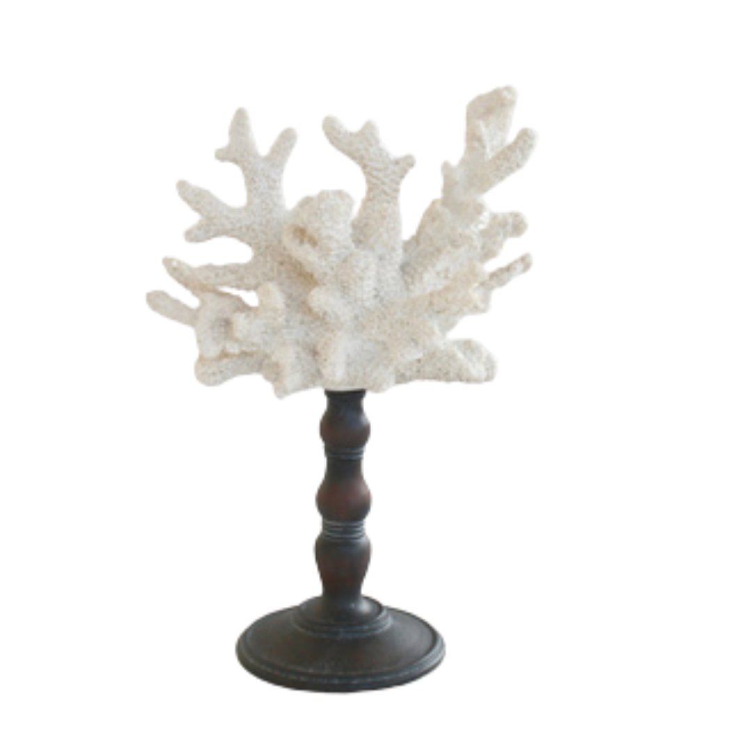 Unique Boys Interiors WHITE CORAL ON STAND 33X21CM