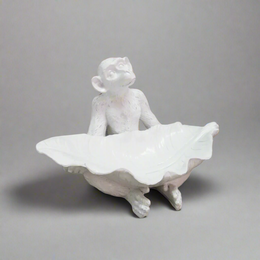 Unique Boys Interiors Scooby Monkey