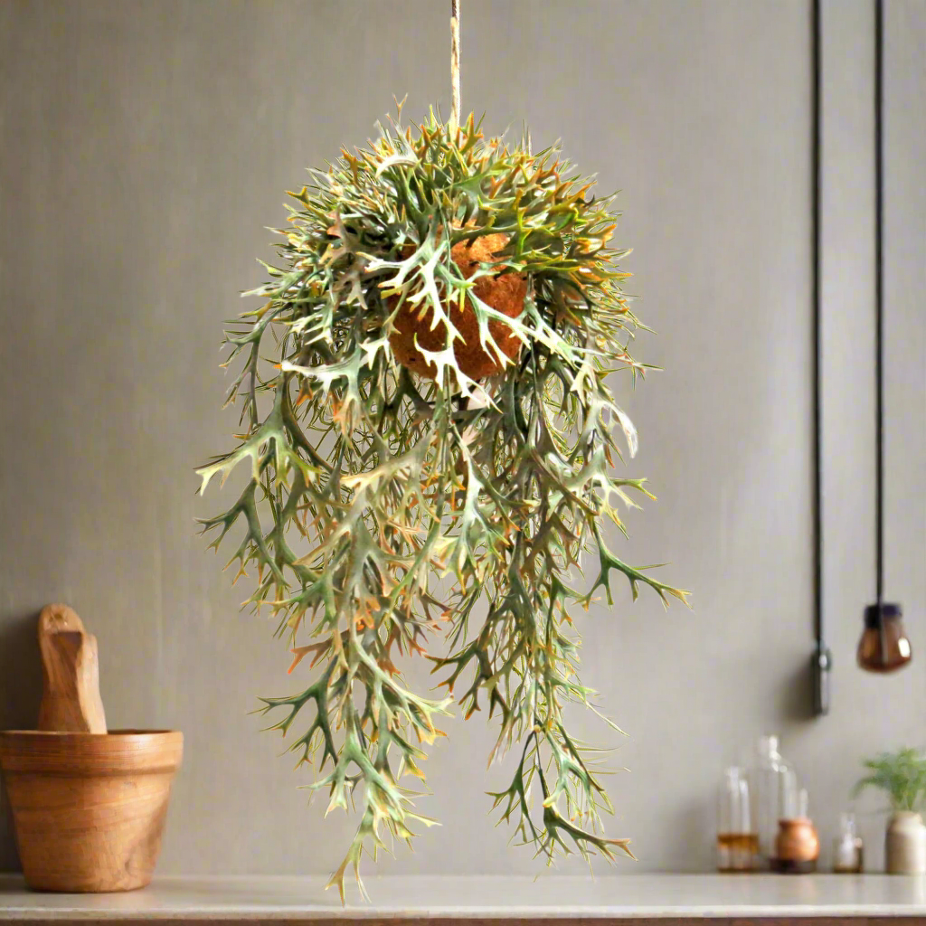 Unique Boys Interiors Hanging Staghorn Autumnal